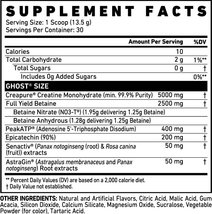 GHOST® SIZE V3 | 'NATTY' | CREATINE MUSCLE BUILDING SUPPLEMENT